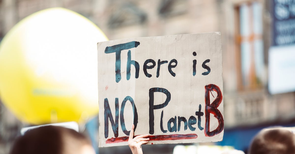 Taylor Swift's Climate Change Activism: How She's Inspiring Action for ...